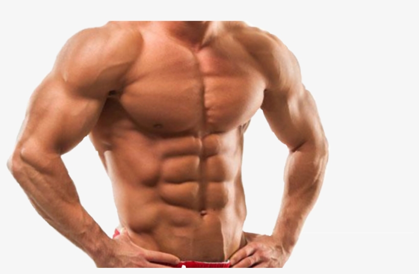 Muscle Sticker - Muscle Body PNG Image | Transparent PNG Free Download ...
