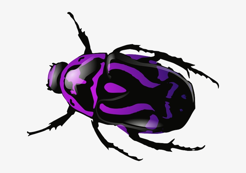 Beetle-34373 640 - Purple Insect PNG Image | Transparent PNG Free ...