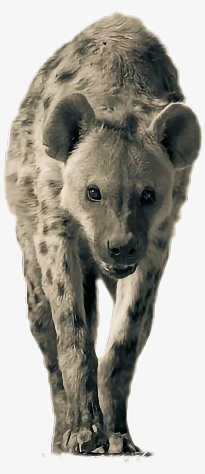 Report Abuse PNG Image | Transparent PNG Free Download on SeekPNG