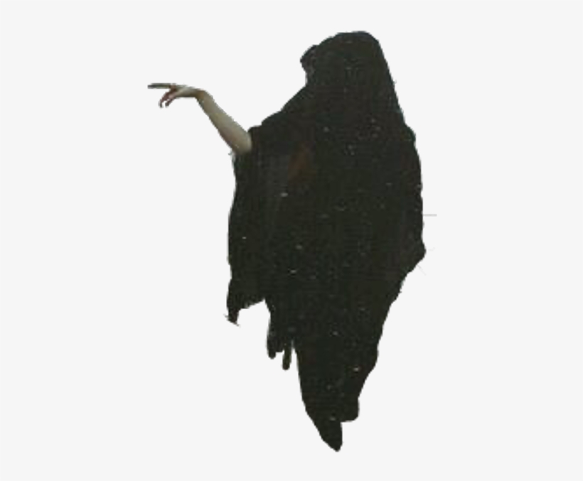 Wool PNG Image | Transparent PNG Free Download on SeekPNG