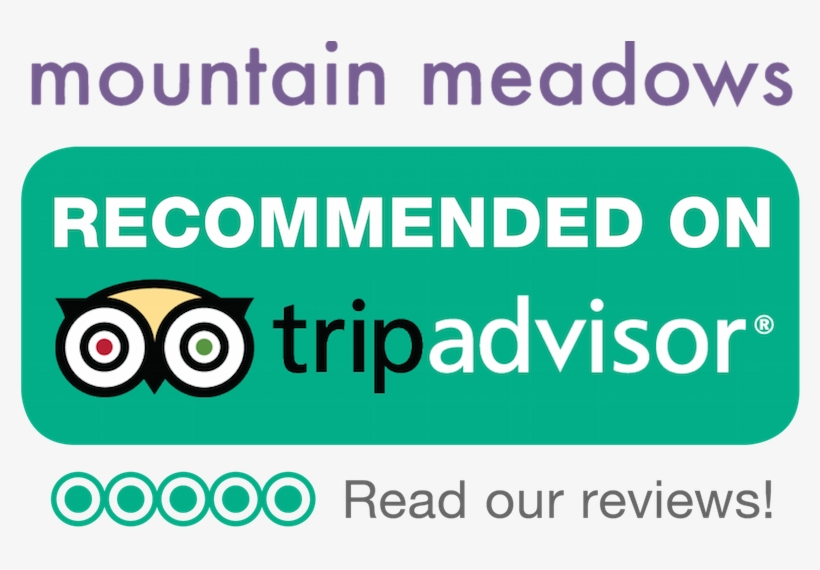 How Did You Find Us - Poster PNG Image | Transparent PNG Free Download ...