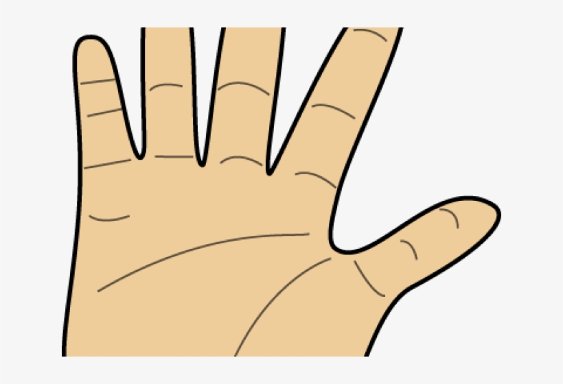 Cartoon Clipart Hand PNG Image | Transparent PNG Free Download on SeekPNG