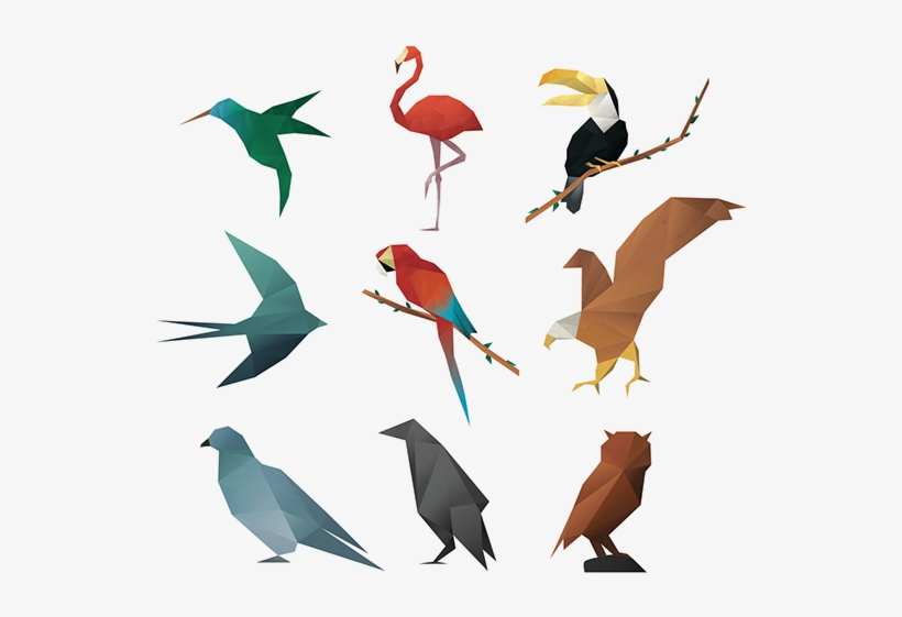 Geometric Birds On Behance - Geometric Birds PNG Image | Transparent ...