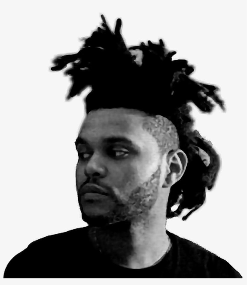Portrait Of The Weeknd PNG Image | Transparent PNG Free Download on SeekPNG