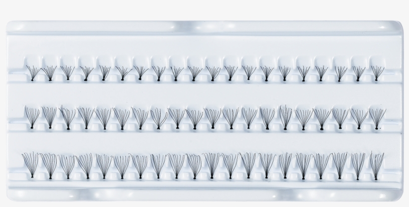 60 Professional Individual False Eyelashes PNG Image | Transparent PNG ...