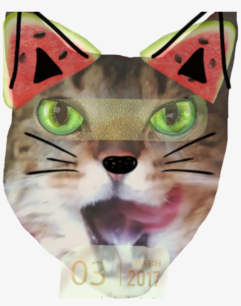 Cat Sticker - Cat Yawns PNG Image | Transparent PNG Free Download on ...