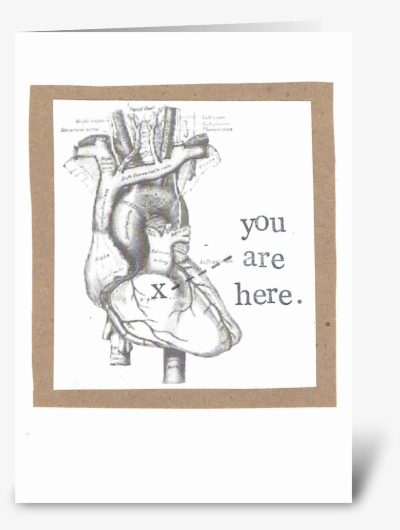You Are Here Anatomical Heart - Anatomy Valentines Day PNG Image ...