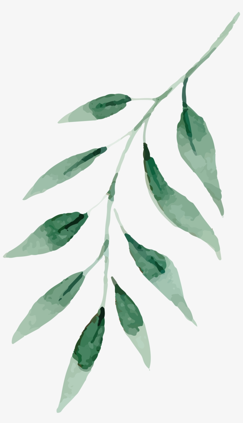 Graphic Library Watercolor Painting Fresh Water Green - Grey ...