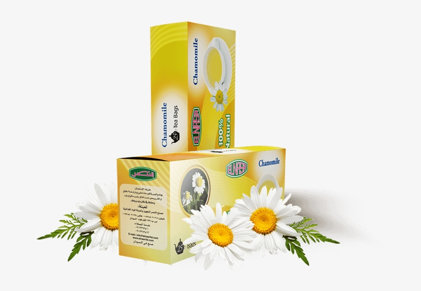 Spaglo Beauty Vital Silk Serum PNG Image | Transparent PNG Free ...