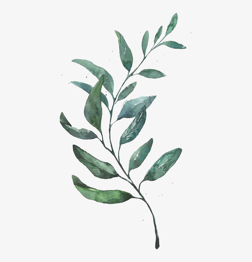 Watercolor Painting Leaf Printmaking Watercolor Leaves Png PNG Image Watercolor Painting Leaf Printmaking Watercolor Leaves Png PNG Image