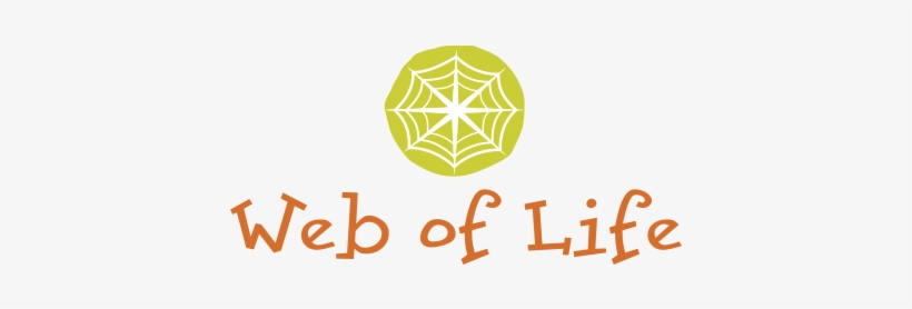 Web Of Life - Web Of Life Png PNG Image | Transparent PNG Free Download ...
