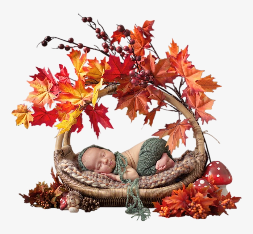 Autumn PNG Image | Transparent PNG Free Download on SeekPNG