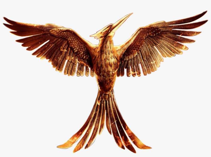 Download Part 1 Png - Mockingbird Logo Hunger Games | Transparent PNG ...