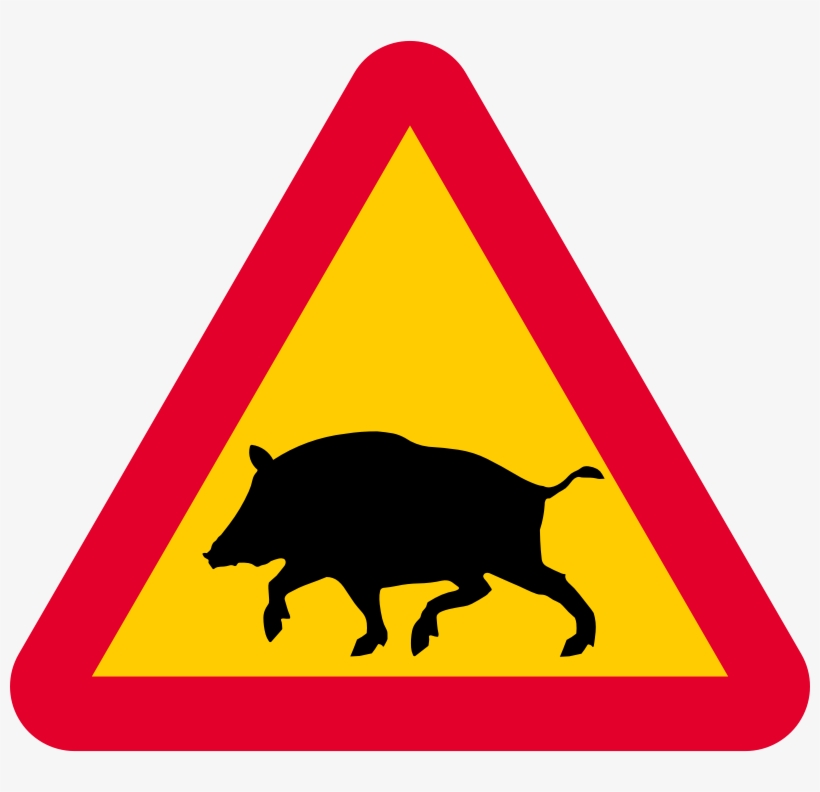 This Png File Is About Boar , A19 7 , Warning , Boars - Cross Road ...