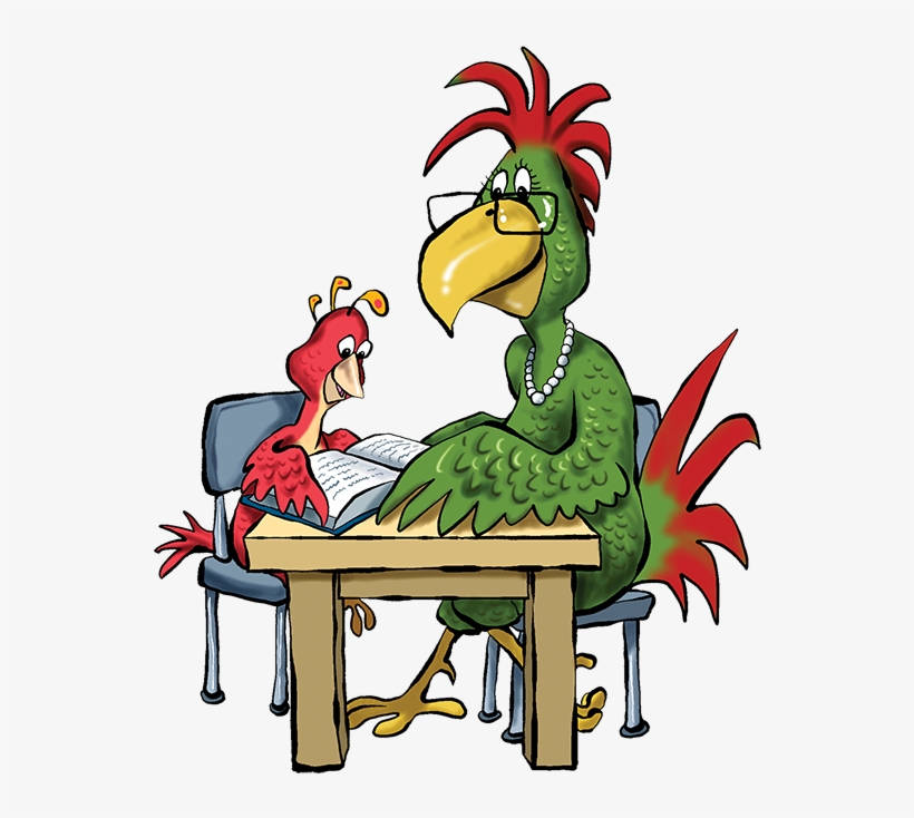 Bird-reading - Cartoon PNG Image | Transparent PNG Free Download on SeekPNG