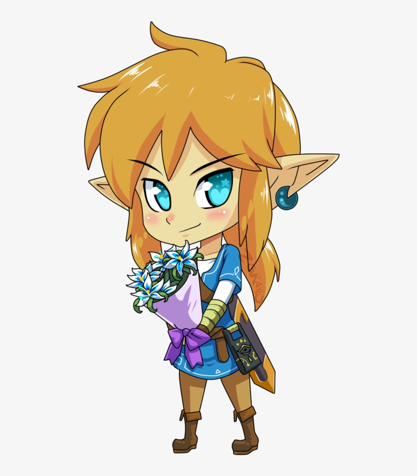 Breath Of The Wild Link - Link And Mipha PNG Image | Transparent PNG ...