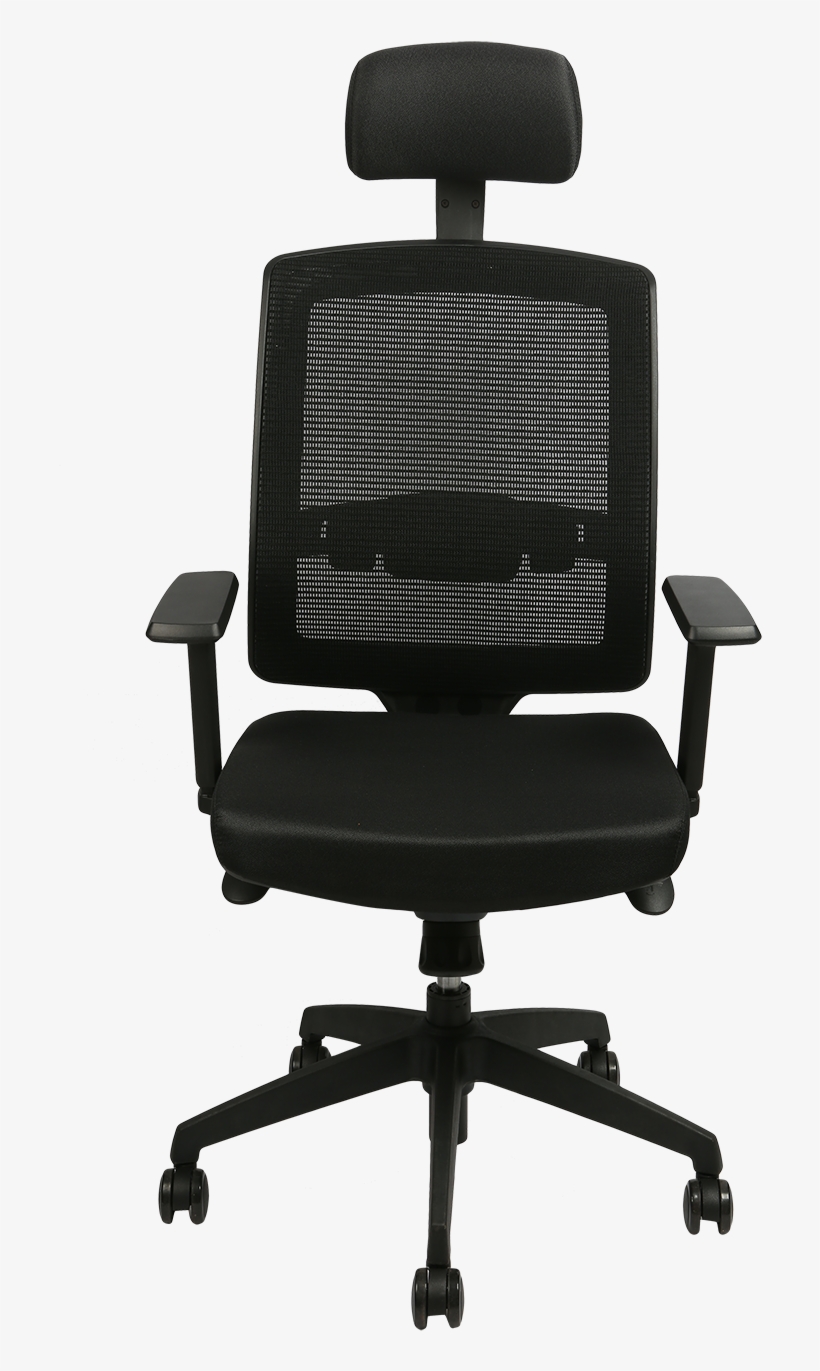 Read More PNG Image | Transparent PNG Free Download on SeekPNG