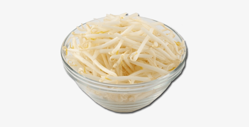 Japan Bean Sprout - Shahe Fen PNG Image | Transparent PNG Free Download ...