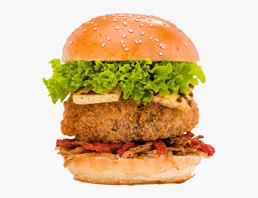 Field Day - Burger Fuel Usa Burger PNG Image | Transparent PNG Free ...