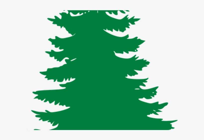 Pine Tree Vector Png PNG Image | Transparent PNG Free Download on SeekPNG