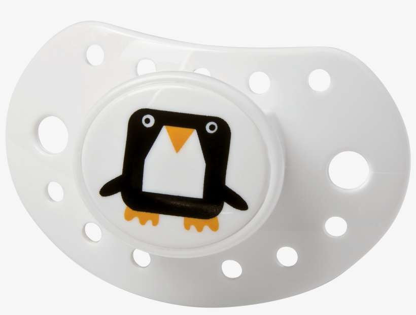 Stay Cool - Design Napp PNG Image | Transparent PNG Free Download on SeekPNG