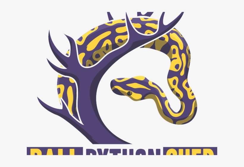 Download Python Logo Clipart Ball Python - Illustration | Transparent ...