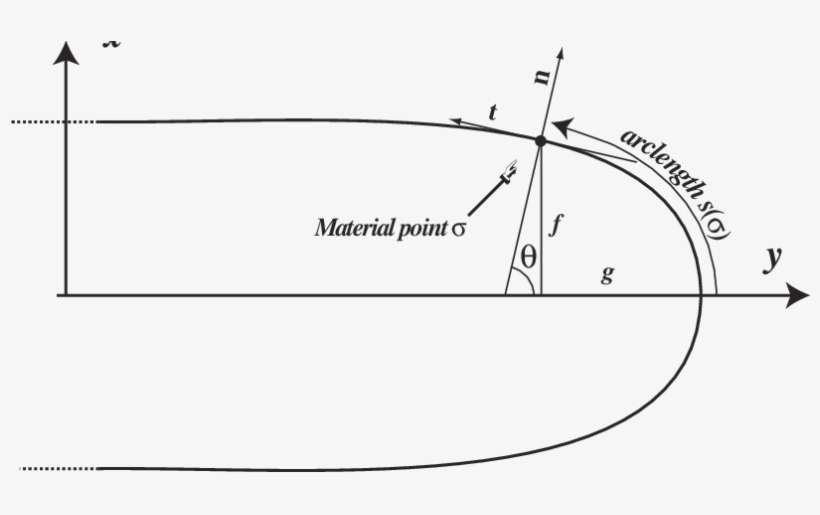 Geometry Of Axisymmetric Finger - Diagram PNG Image | Transparent PNG ...