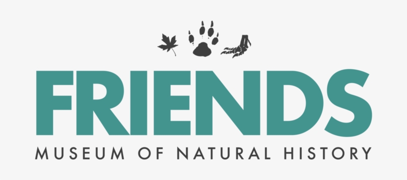 Friends Logo - Graphic Design PNG Image | Transparent PNG Free Download ...