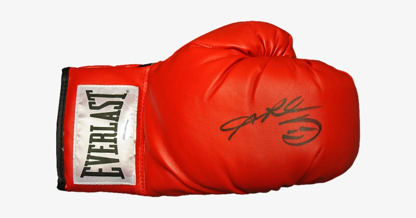 Everlast Boxing Glove - Everlast PNG Image | Transparent PNG Free ...