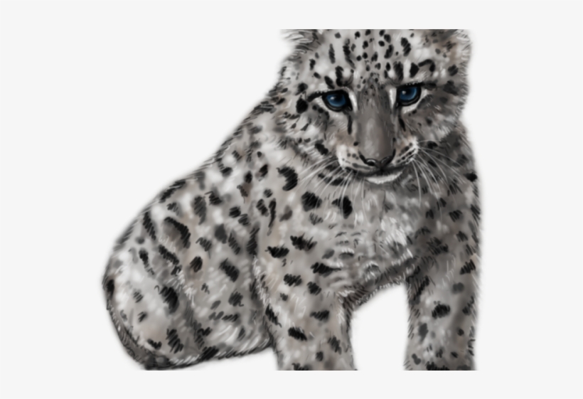 Download Drawn Snow Leopard Gif Transparent - Baby Leopard Transparent ...