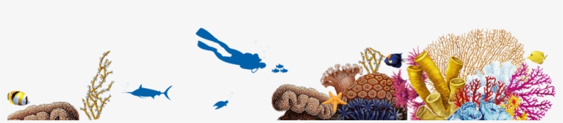 Download Underwater - Illustration | Transparent PNG Download | SeekPNG