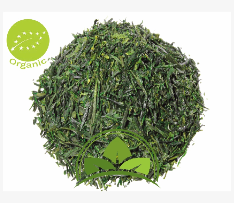 The Uk Loose Leaf Tea Company - Artificial Turf PNG Image | Transparent ...