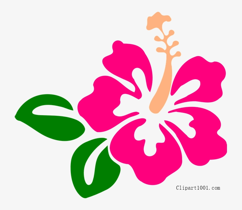 Download - Hibiscus Clip Art PNG Image | Transparent PNG Free Download ...