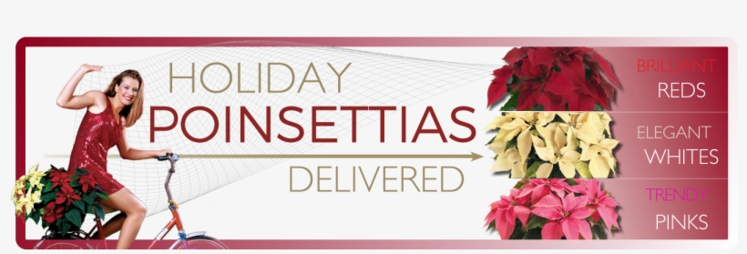 Riverside Health System PNG Image | Transparent PNG Free Download on ...