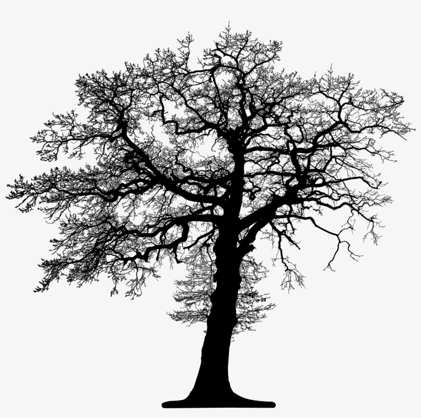 Big Image PNG Image | Transparent PNG Free Download on SeekPNG