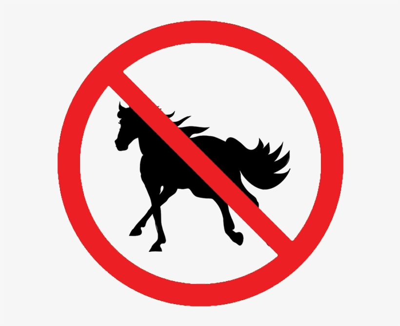 No Computers Allowed