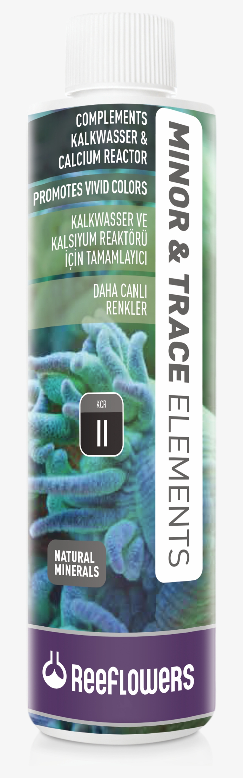 Special Formulas - Insect PNG Image | Transparent PNG Free Download on ...