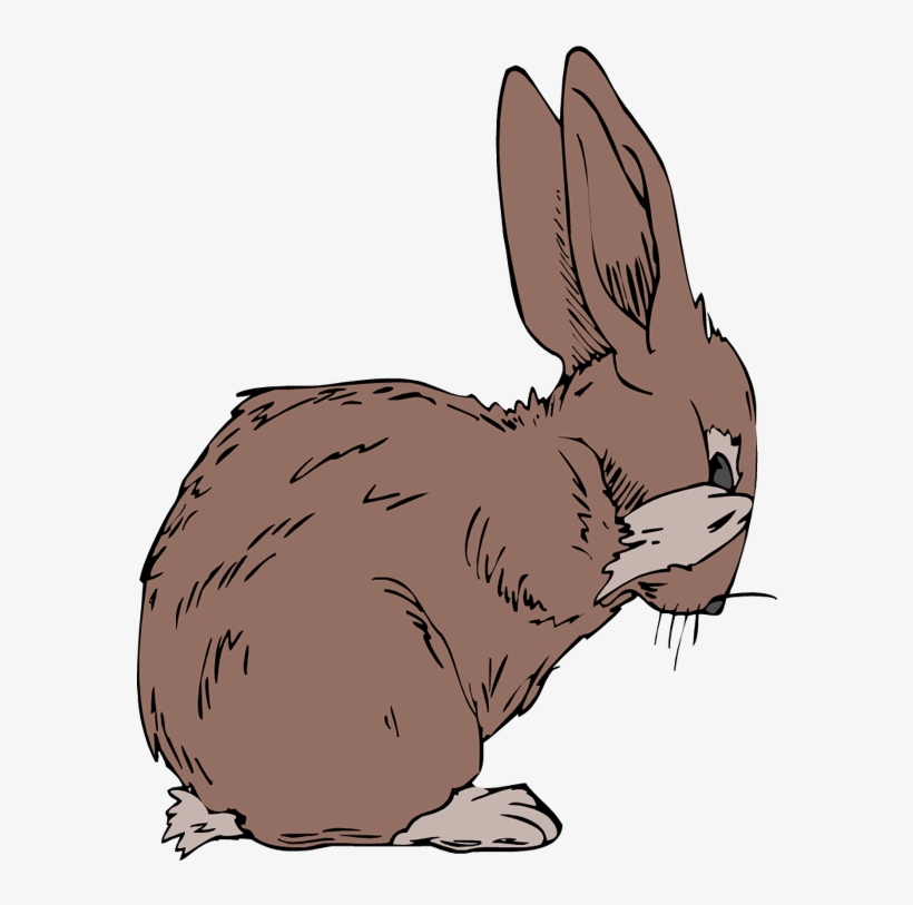 Jack Rabbit Clipart Black And White - Jackrabbit Clipart PNG Image ...