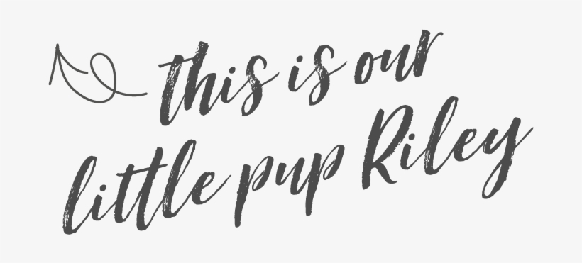 This Is Riley - Calligraphy PNG Image | Transparent PNG Free Download ...