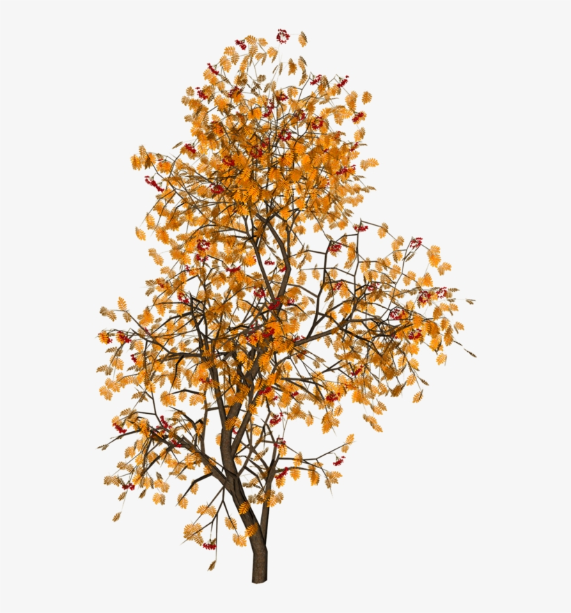Autumn PNG Image | Transparent PNG Free Download on SeekPNG