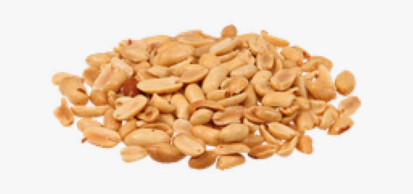 Groundnut Png PNG Image | Transparent PNG Free Download on SeekPNG