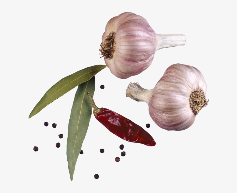 Pepper And Garlic - Garlic PNG Image | Transparent PNG Free Download on ...