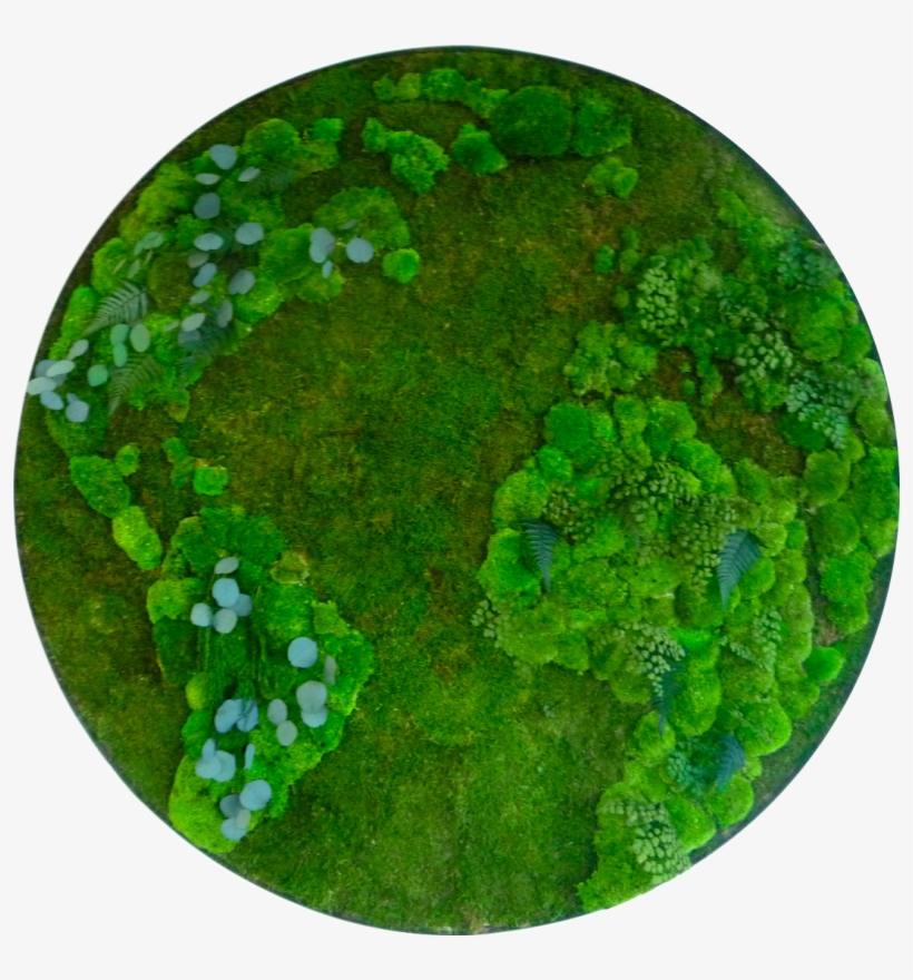 Mapa Mundi - Circle PNG Image | Transparent PNG Free Download on SeekPNG