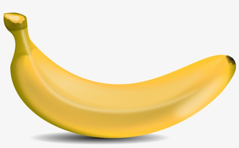 Download Images Transparent Free Download | Transparent PNG Download ...