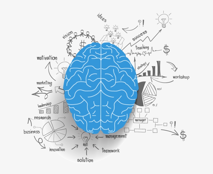 Brain - Persuasion: The Science Of Selling PNG Image | Transparent PNG ...