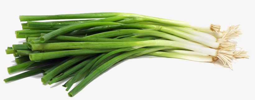 Green Onion Png File - Green Onion Png PNG Image | Transparent PNG Free ...