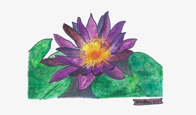 Frozen - Sacred Lotus PNG Image | Transparent PNG Free Download on SeekPNG
