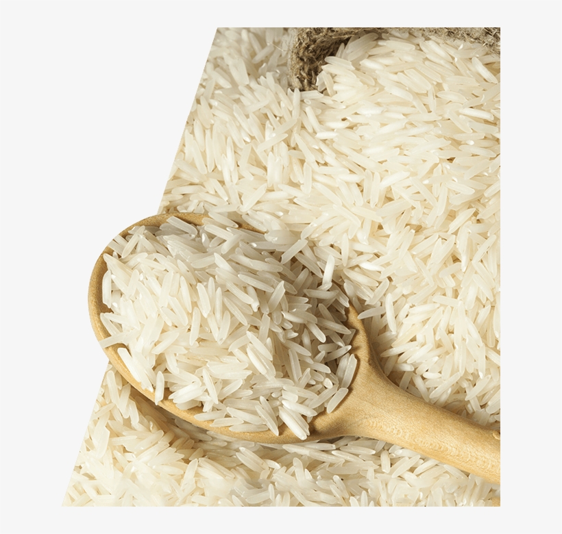 Rice Png PNG Image | Transparent PNG Free Download on SeekPNG