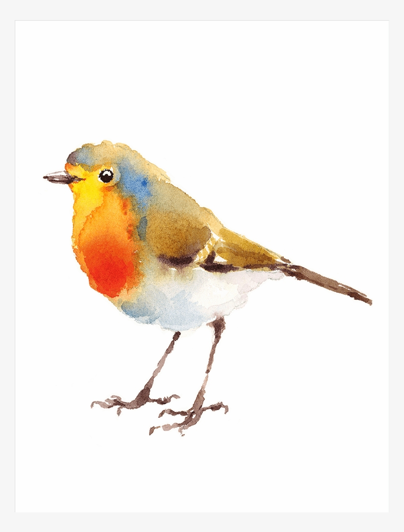 European Robin Watercolor Painting Drawing - Watercolor Painting PNG ...