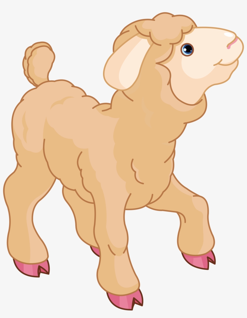Lamb Clipart Watercolor - Mary Had A Little Lamb Png PNG Image ...